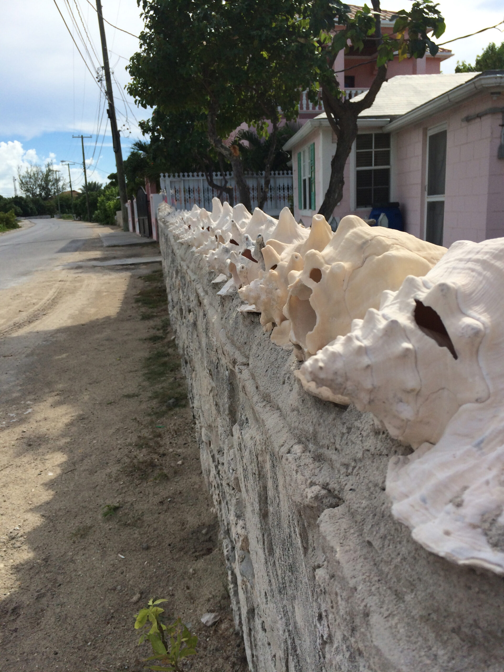 A Rummymoon at Sea | Girls That Roam